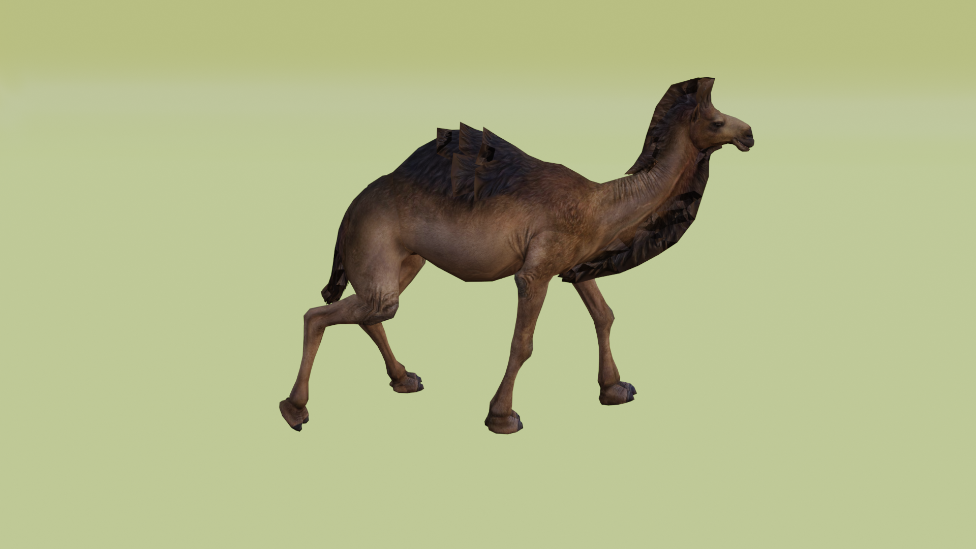 Animated Camel Images