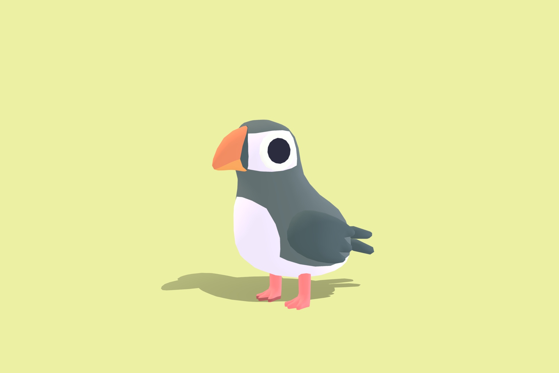 Puffin - Quirky Series | Fab