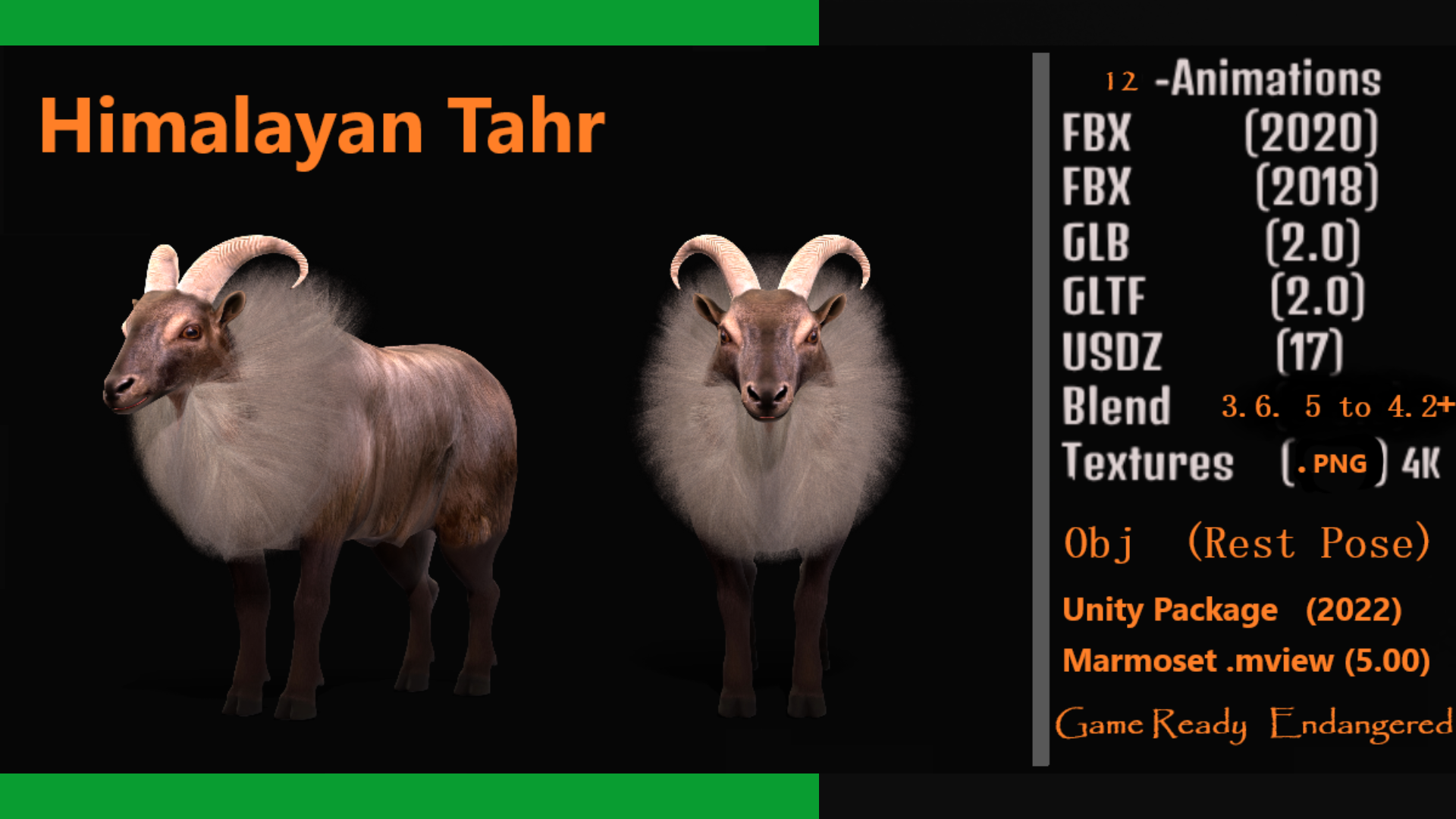 Himalayan Tahr Wild Goat | Fab