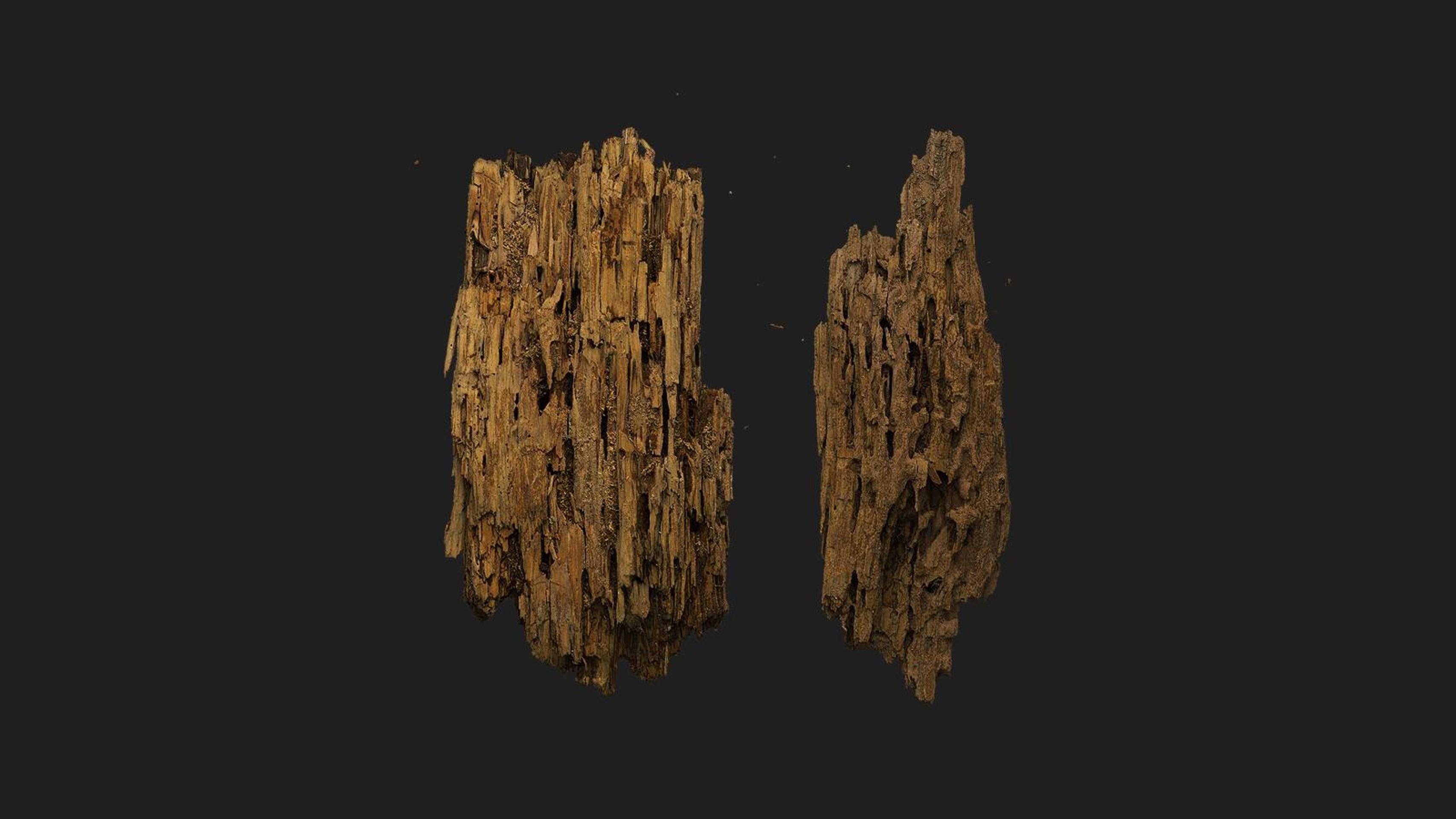 Tree Trunk Pieces | Fab