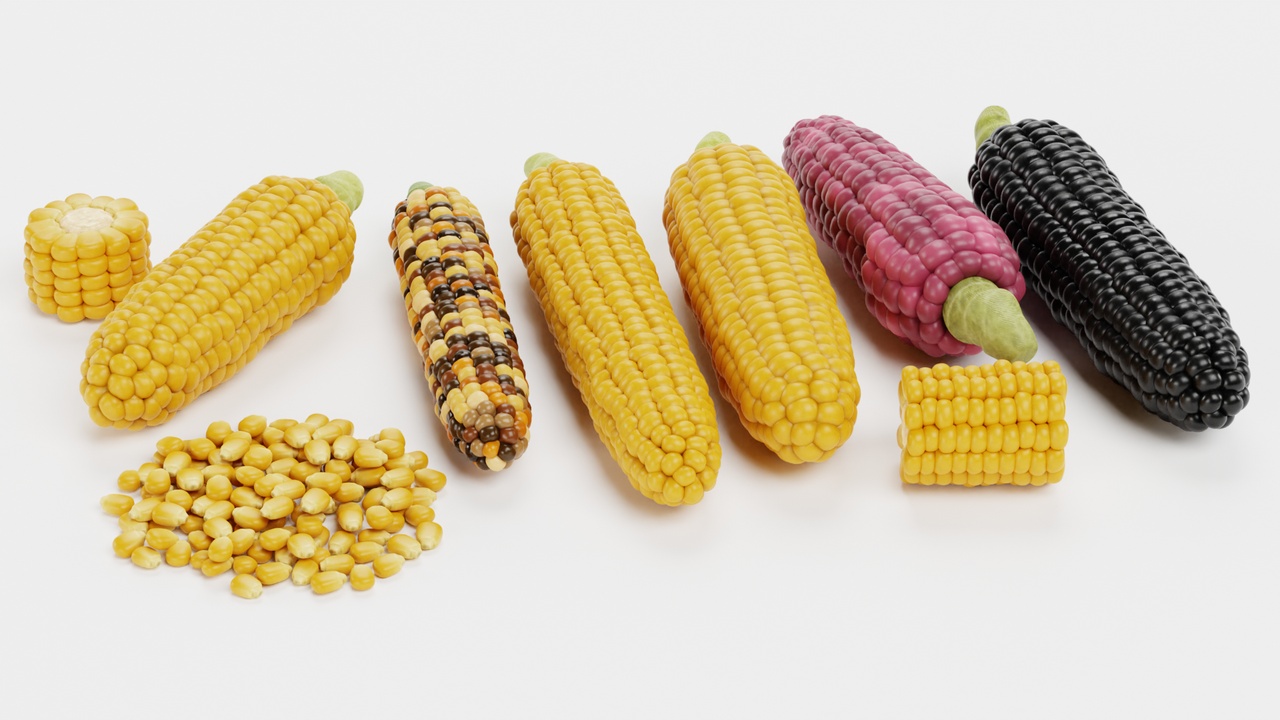 Corn Collection - Maize Ears Cob Pieces Kernels and Seeds Pile | Fab