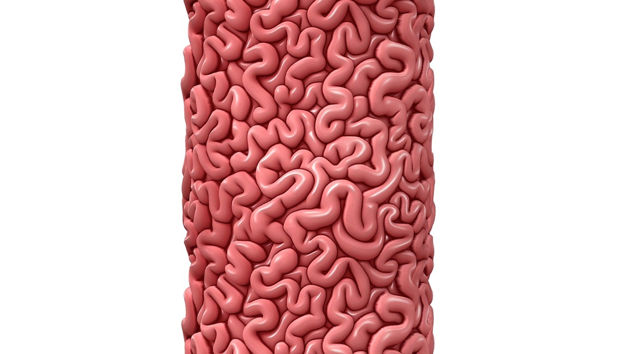 Anatomy Seamless Texture | Fab