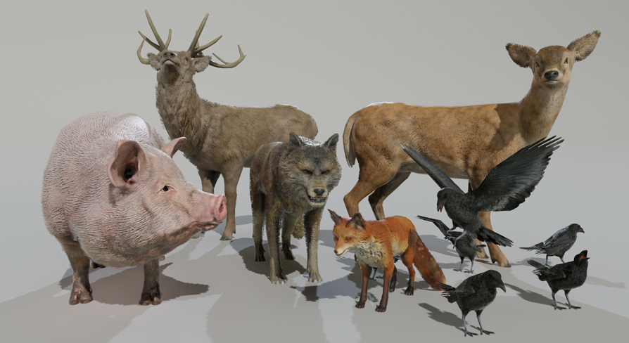 ANIMAL VARIETY PACK