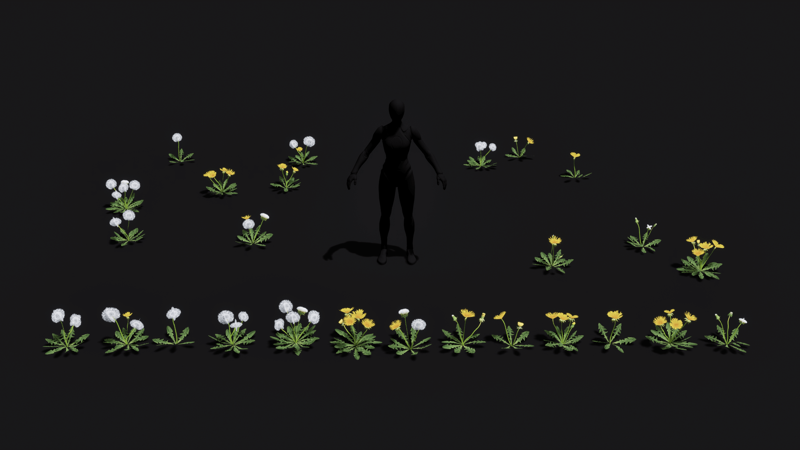 Dandelions game ready set | Fab