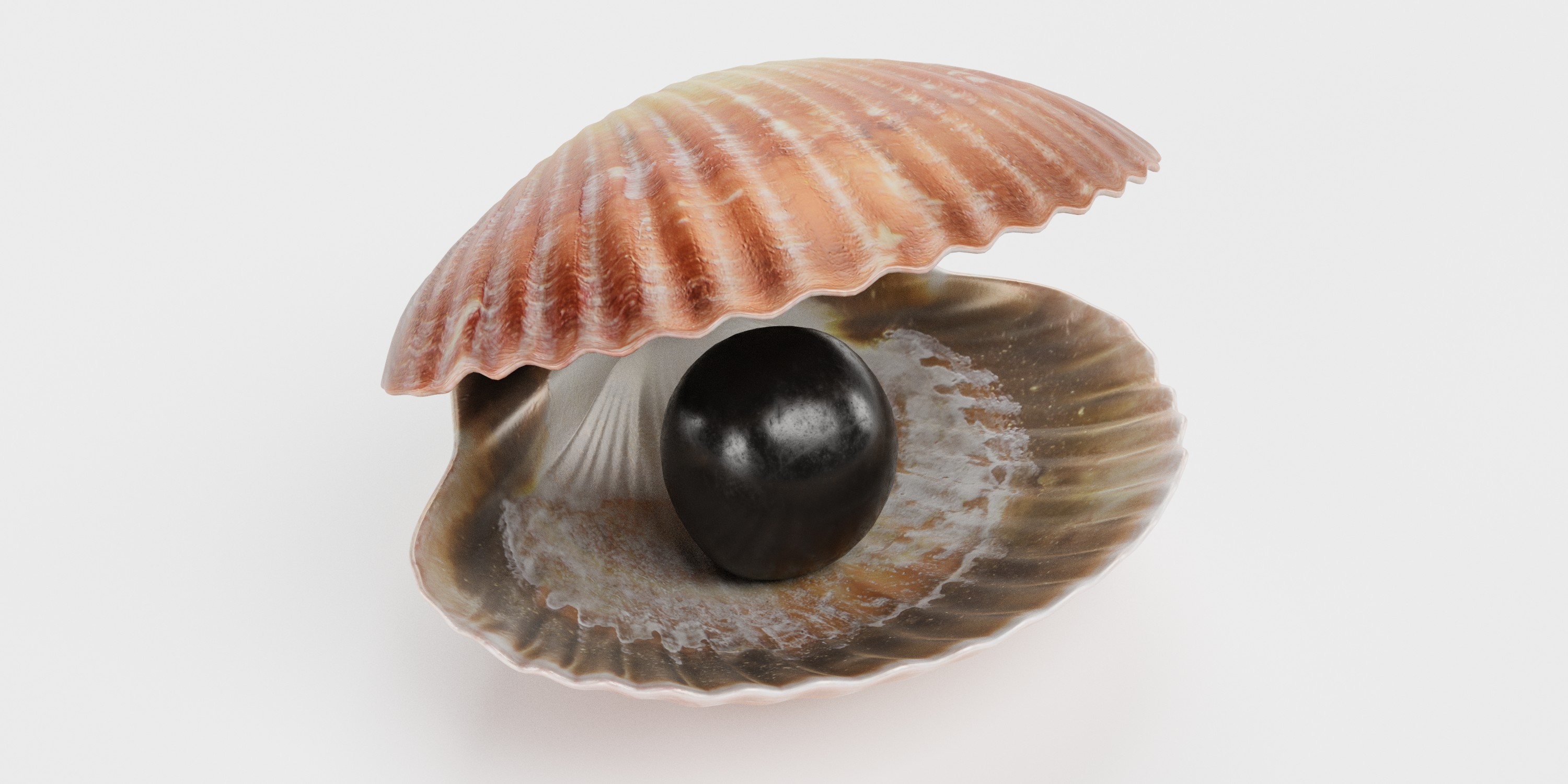 Clam with Black Pearl - Realistic Scallop Seashell with Gemstone | Fab