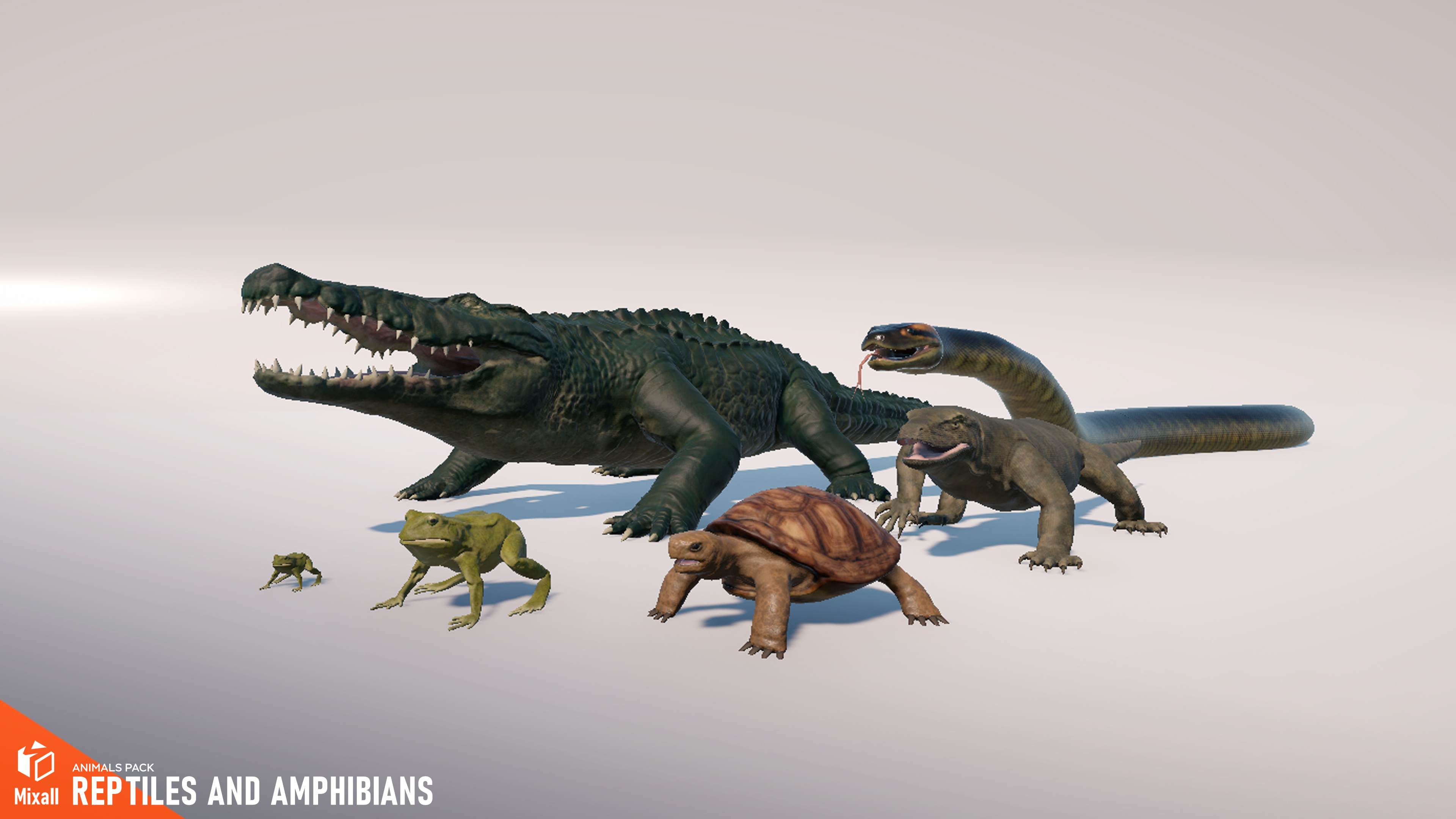 Reptiles and Amphibians - Animals Pack | Fab