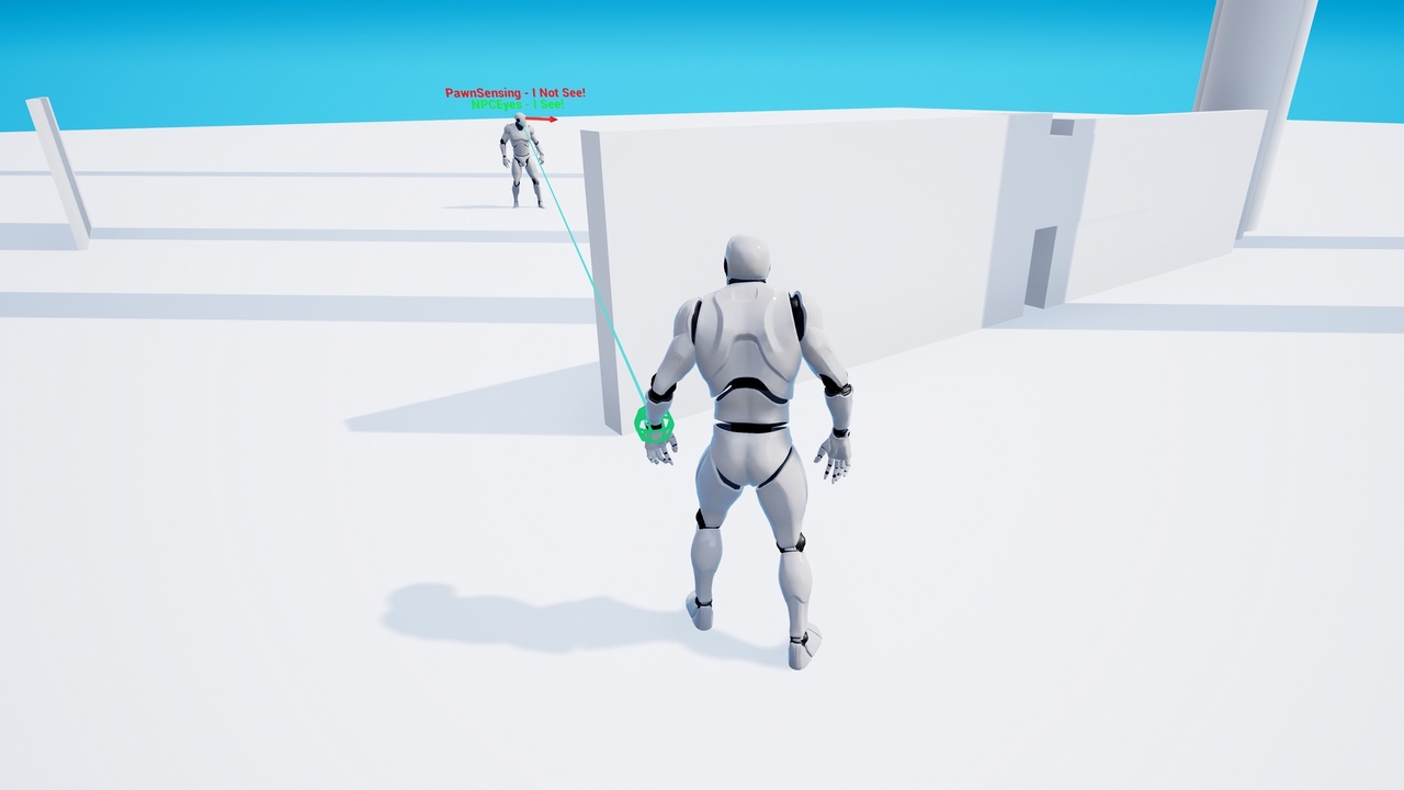 NPC Eyes Sight System