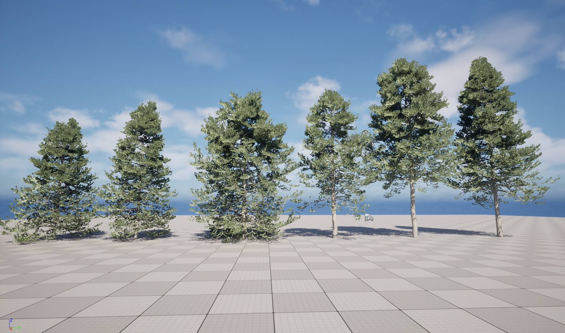 Nanite Plant Tree - Pseudotsuga menziesi - Douglas fir | Fab