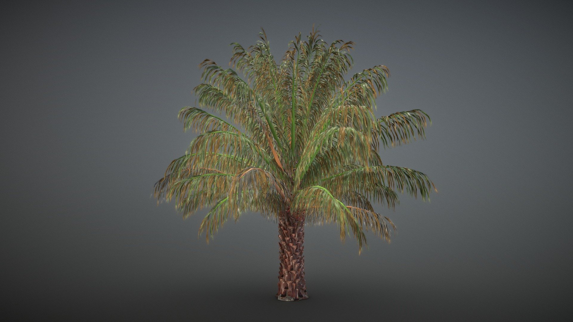 Palm Oil Tree | Fab
