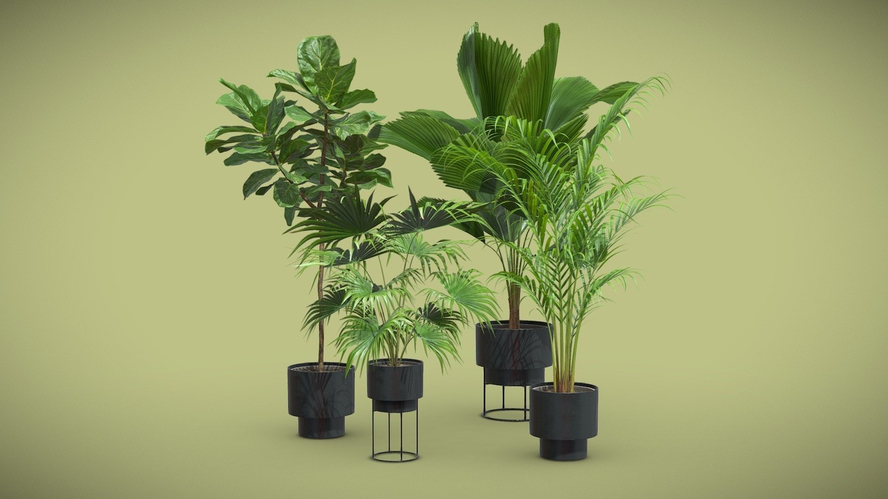 Indoor Plants Pack 53 | Fab