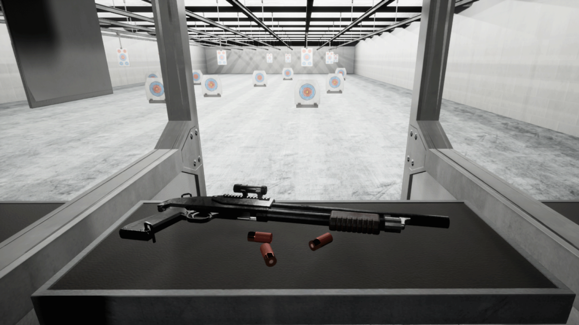 Basement Shooting Range