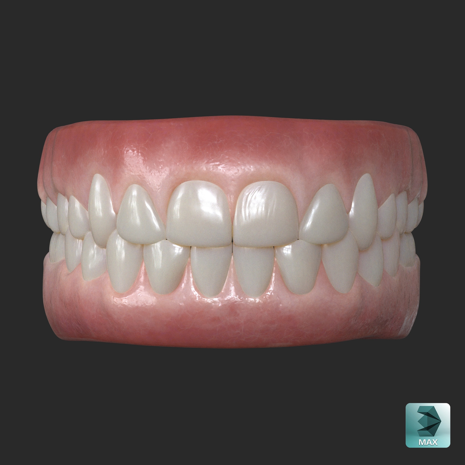 Human Mouth Anatomy 3d Model Free Printable - Infoupdate.org