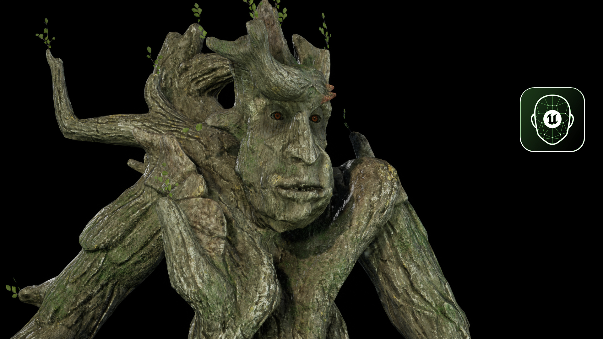 Tree ent oak | Fab