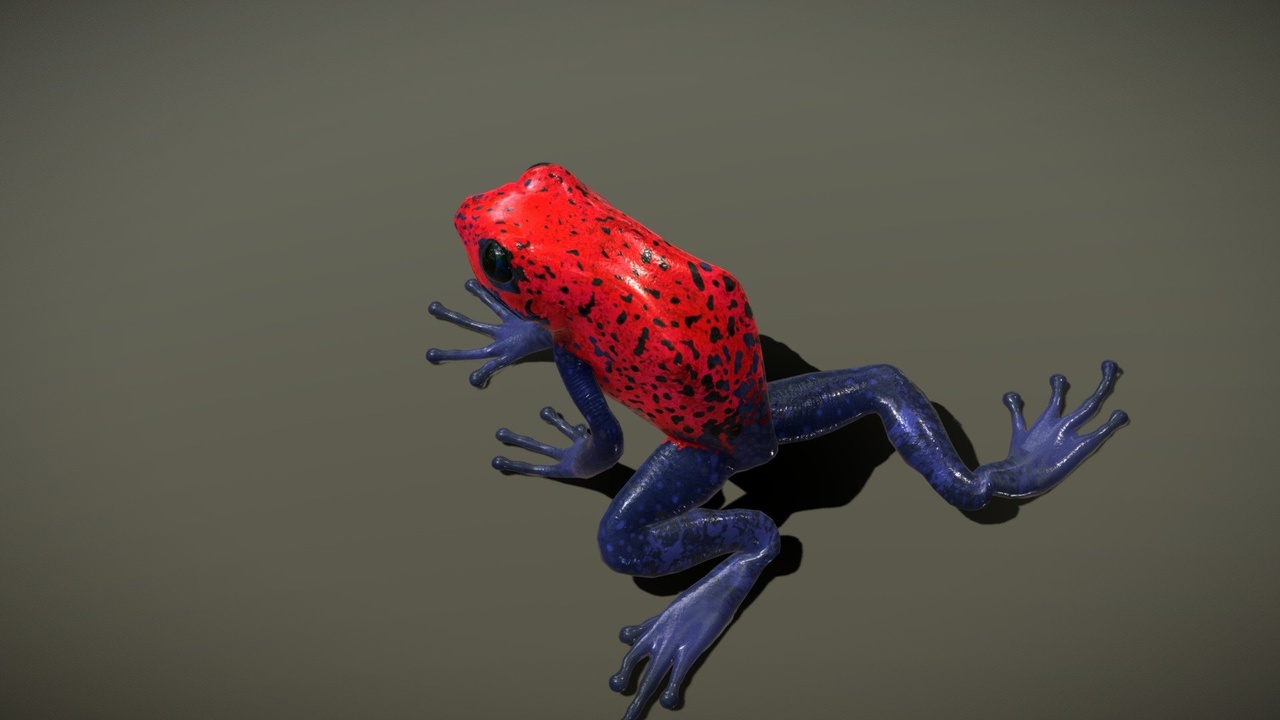 Strawberry Dart Frog