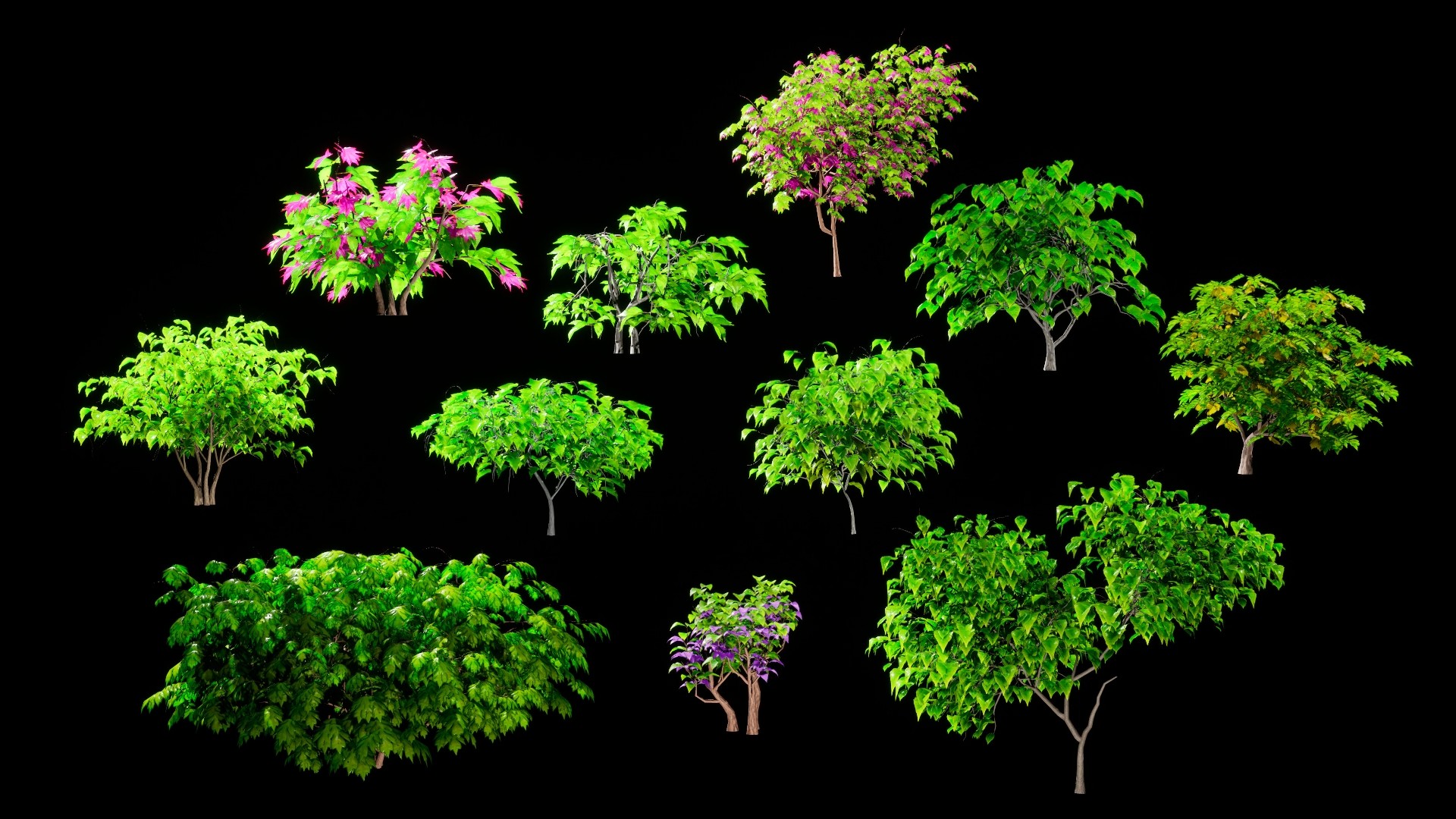 Realistic bush | Fab