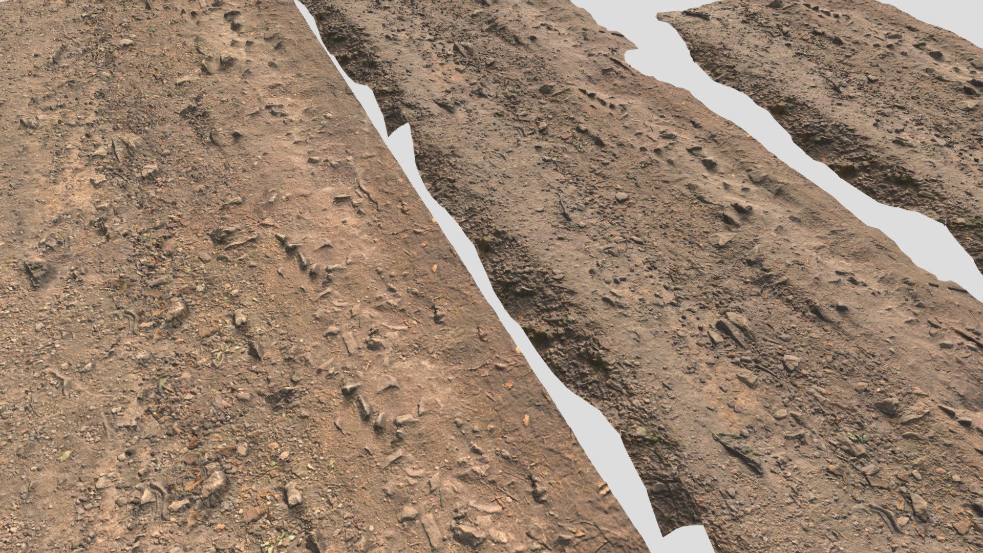 Forest Road Rocks Scan Tileable | Fab
