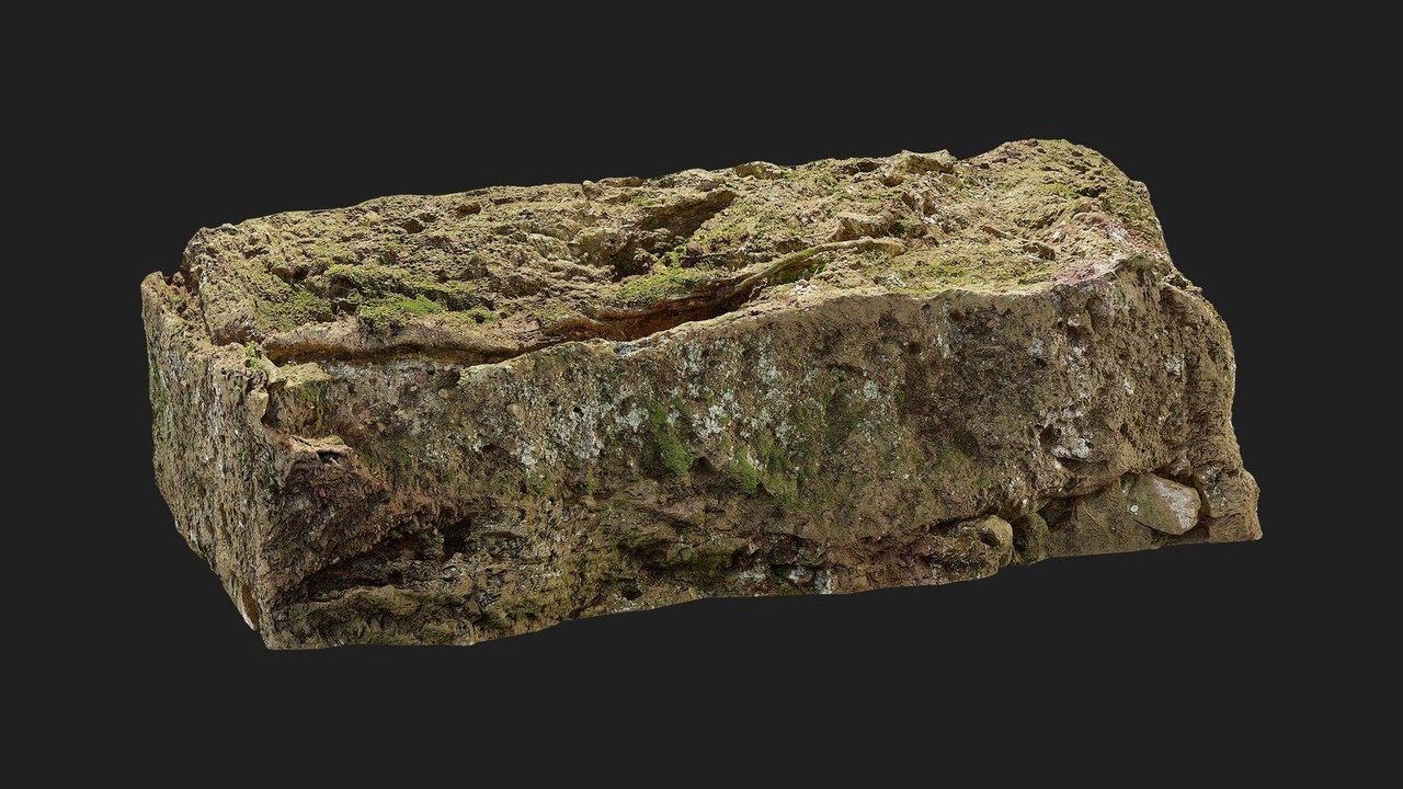 Forest European Broadleaf Ledge Rock S 03 | Fab