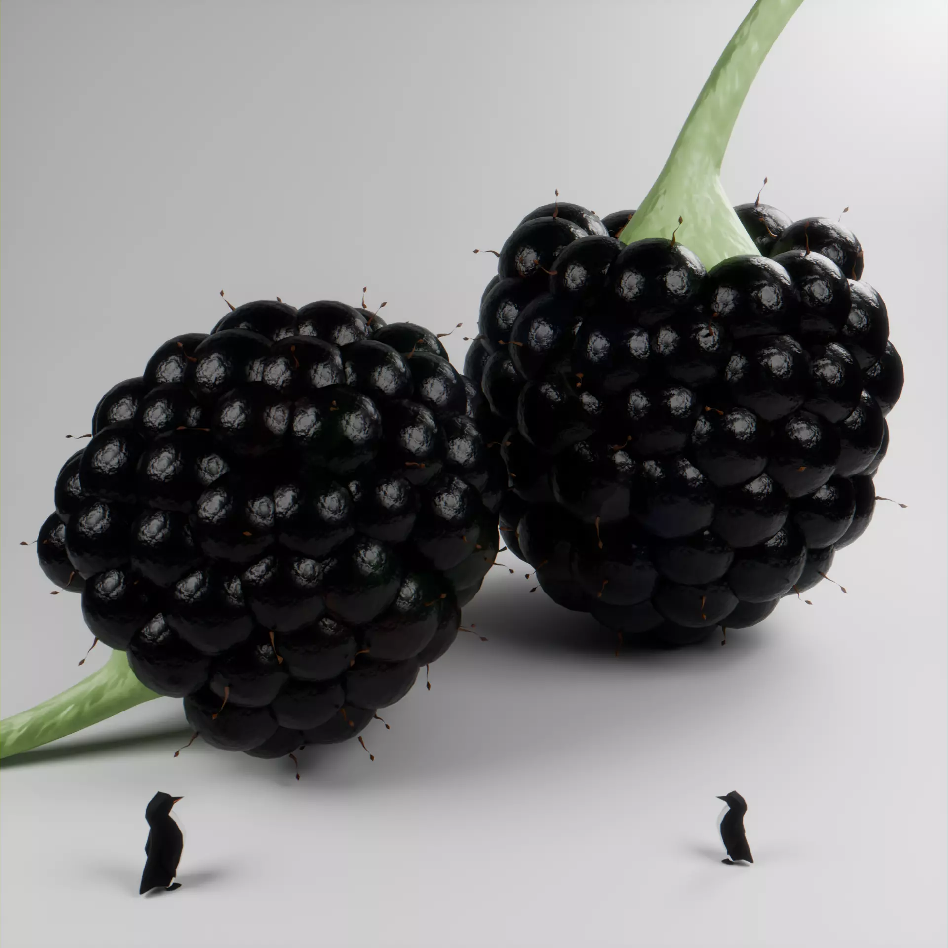 Realistic Blackberry - Procedural Geometry Nodes Asset (PBR/Blender) | Fab