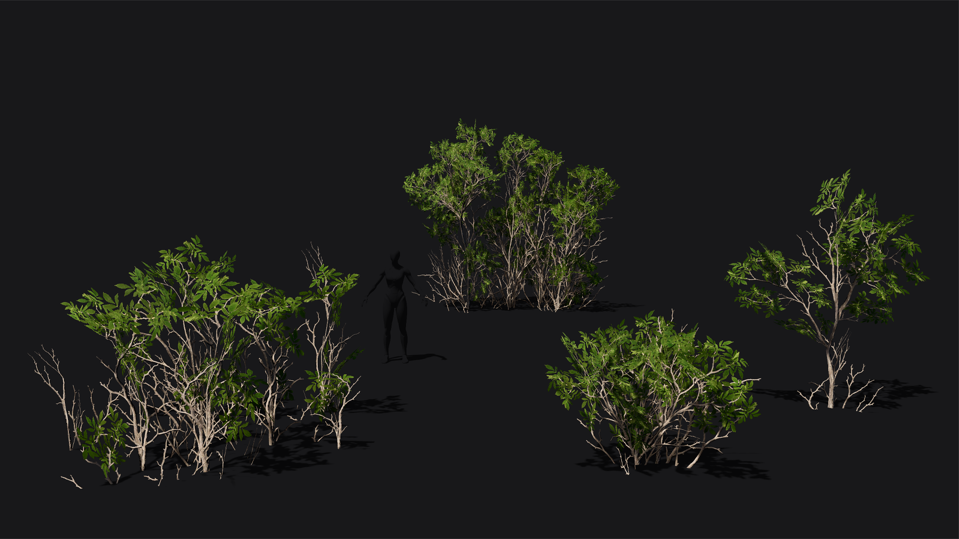 Ash tree shrubs and saplings game ready low poly | Fab