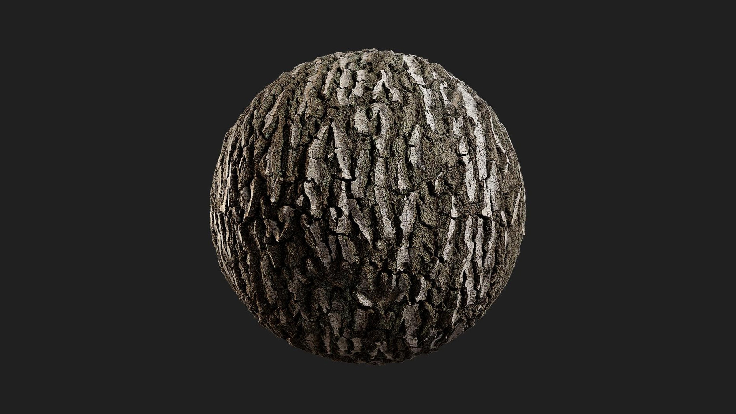 Birch Bark | Fab