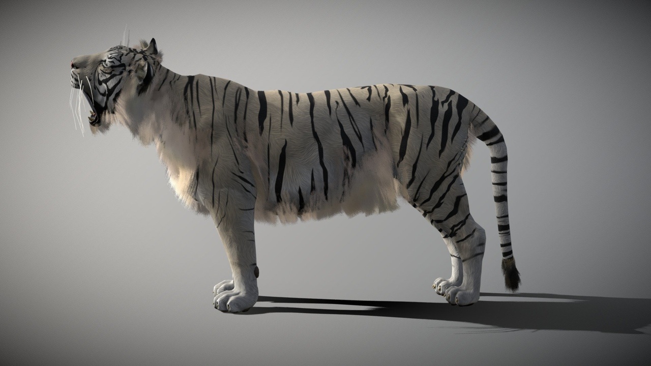 White Tiger | Fab