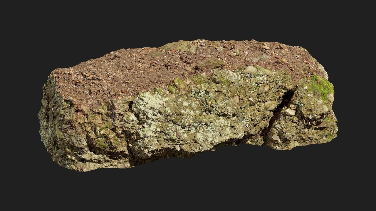 Forest European Broadleaf Rock S 02 | Fab