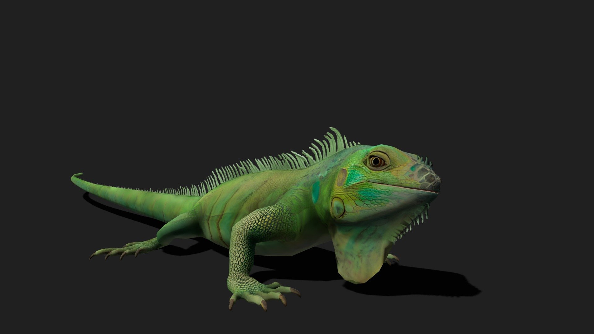 Realistic Animated Iguana 3D Model | Fab
