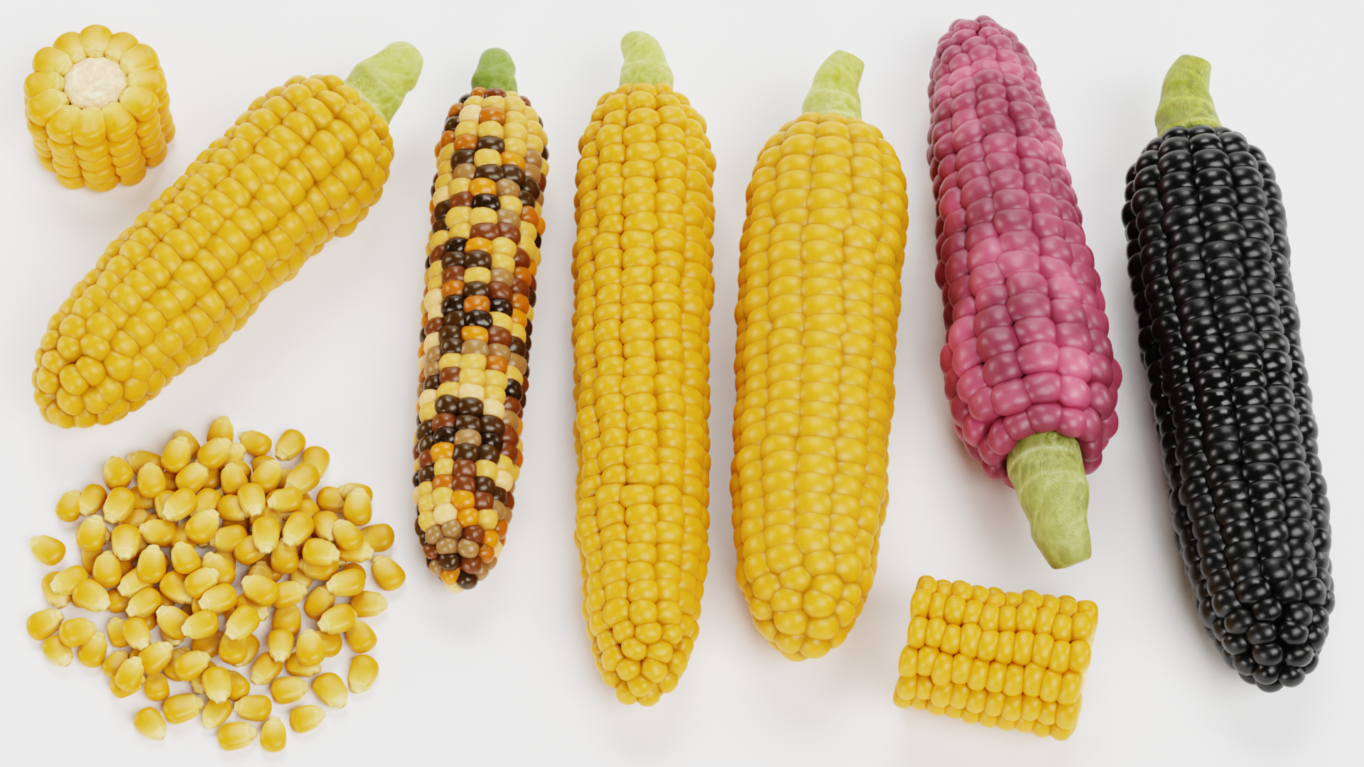 Corn Collection - Maize Ears Cob Pieces Kernels and Seeds Pile | Fab