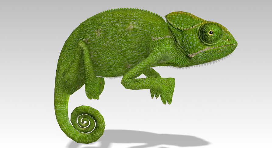 Chameleon