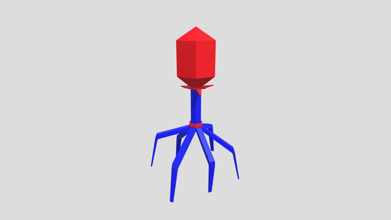 Bacteriophage Model