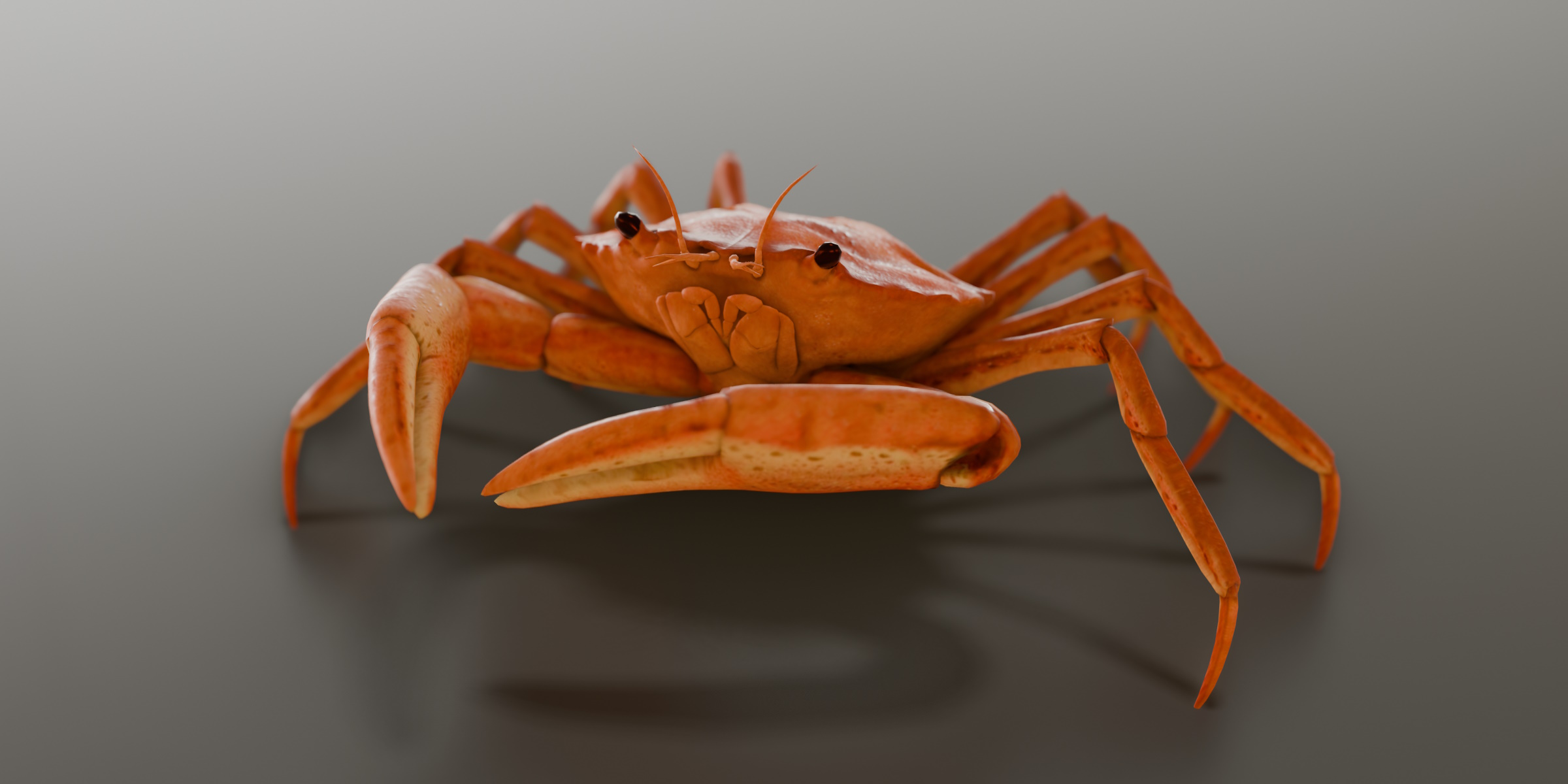 Animated crab | Fab