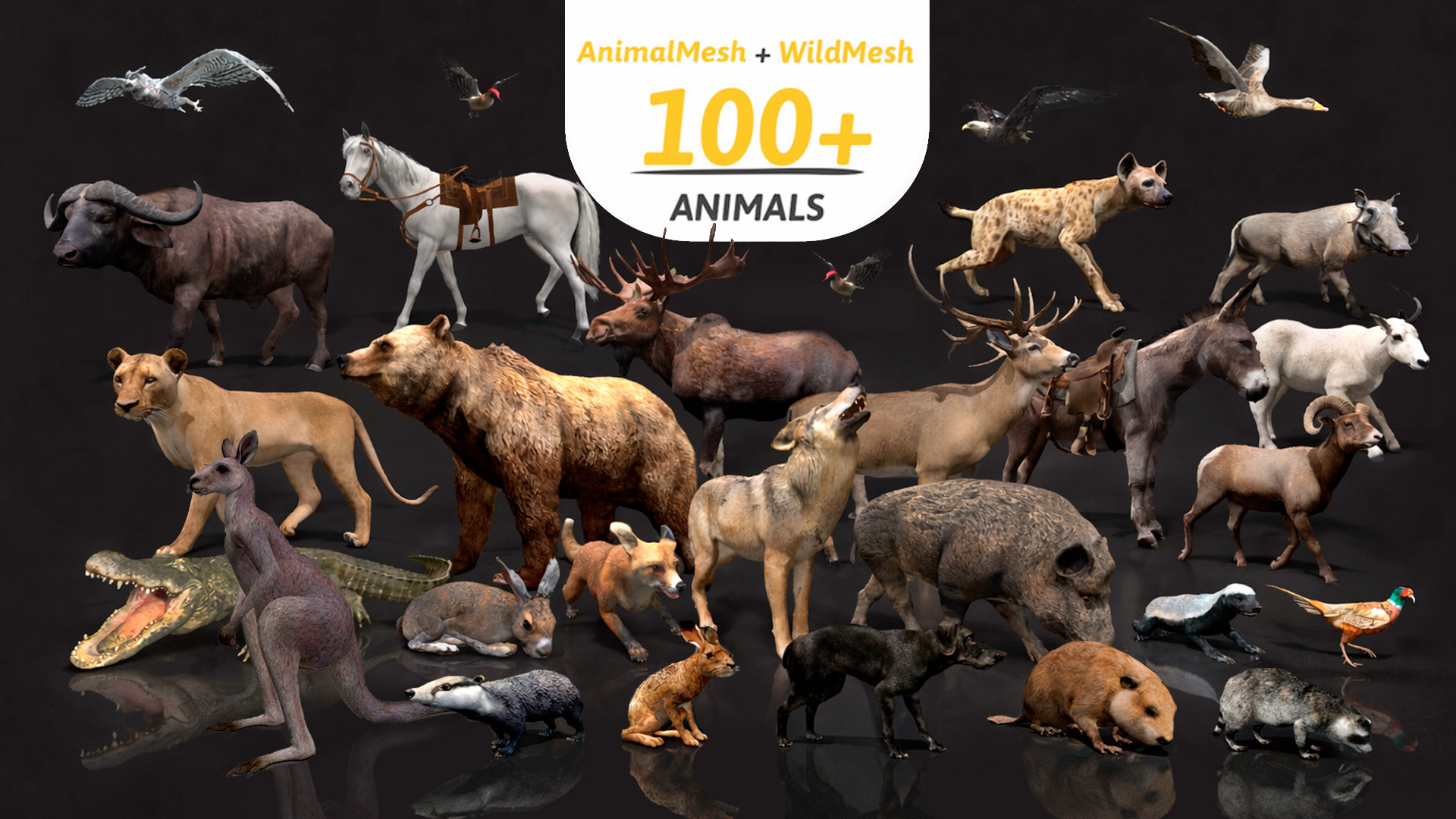 ULTIMATE ANIMAL MEGA BUNDLE | AnimalMesh 3D + WildMesh 3D | 100 ...