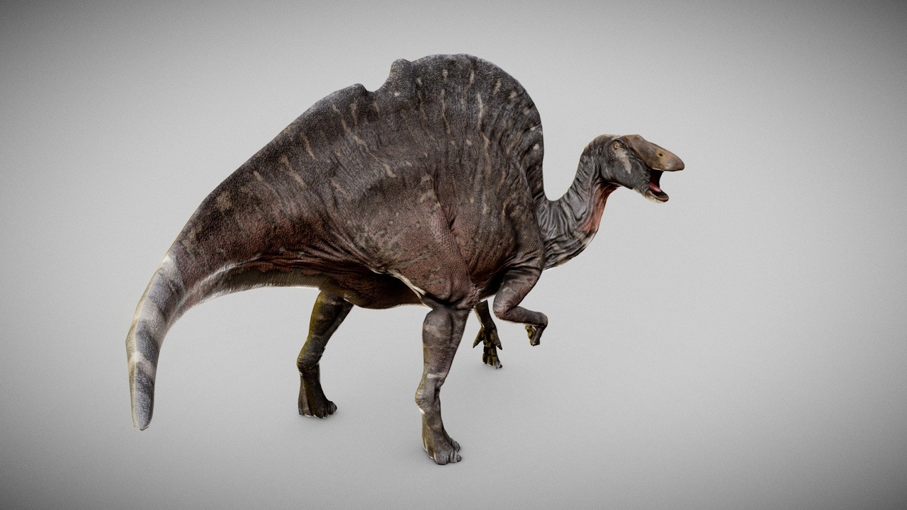 Ouranosaurus Size