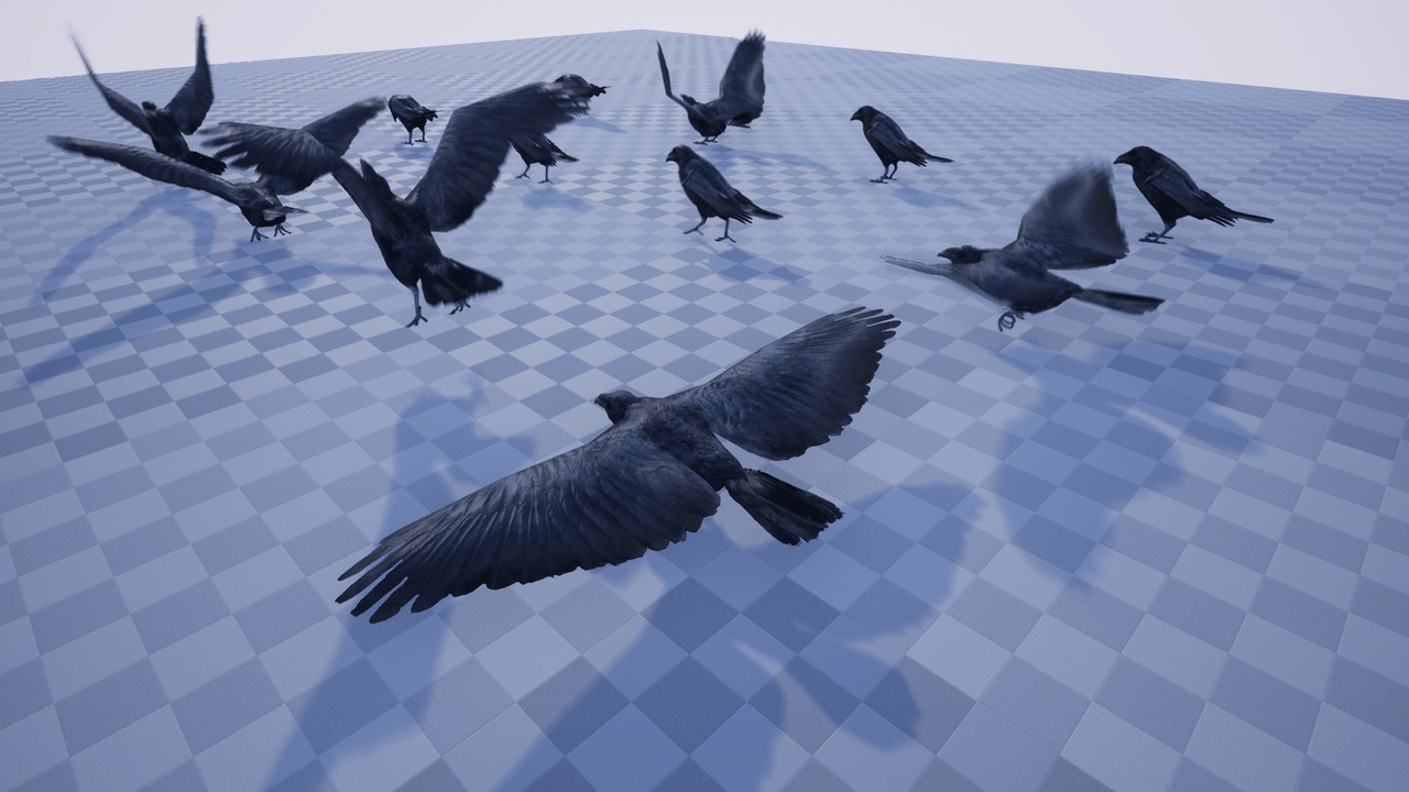ANIMAL VARIETY PACK