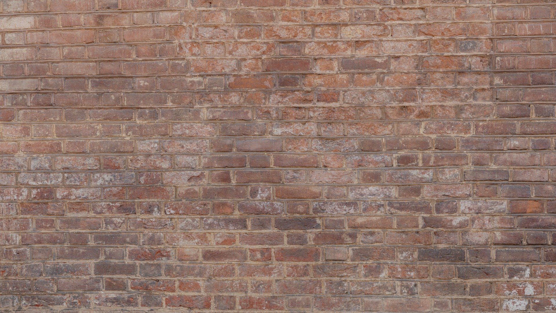 Monastery brick wall | Fab