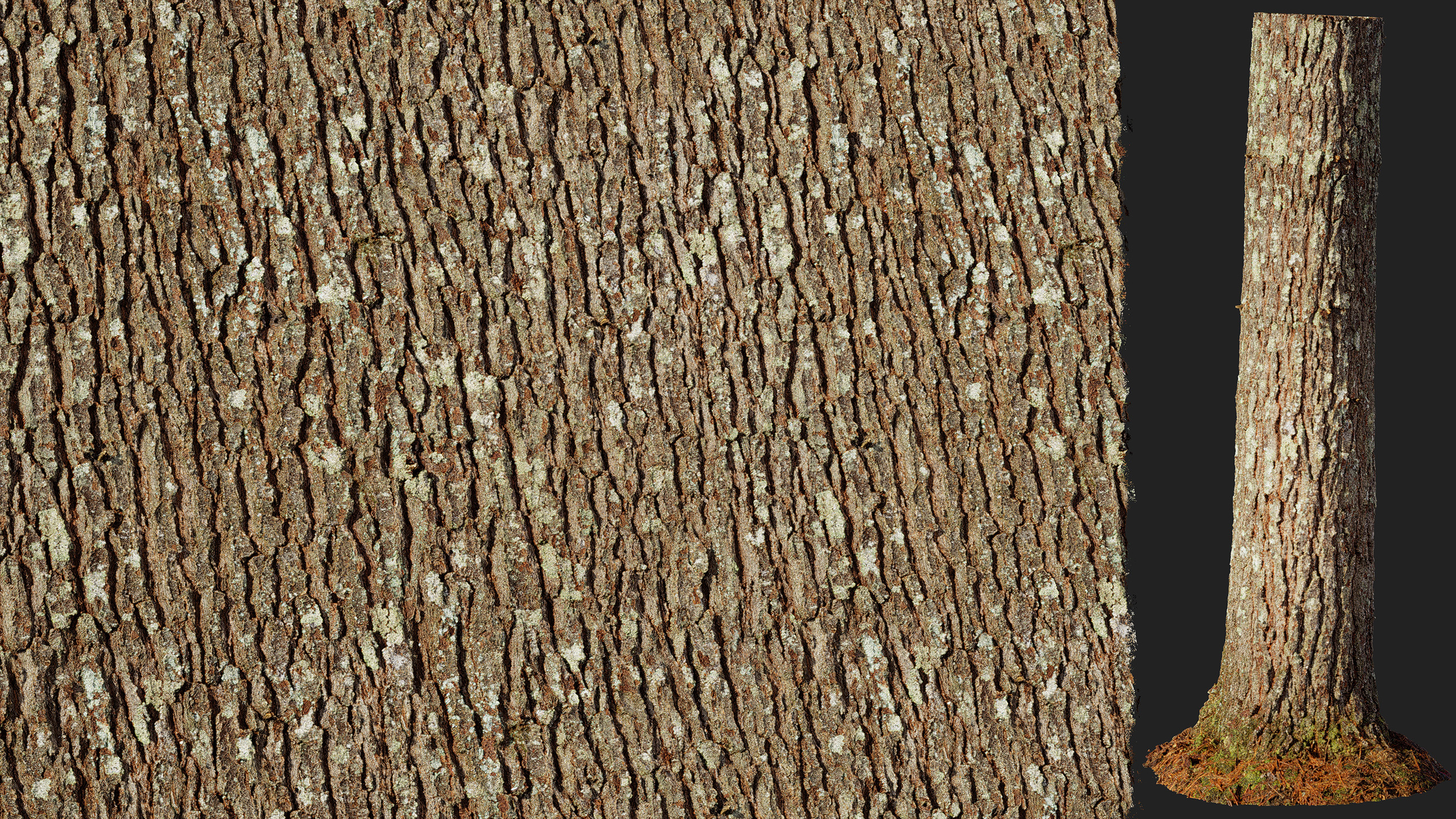 Eastern White Pine Bark 01 | Fab