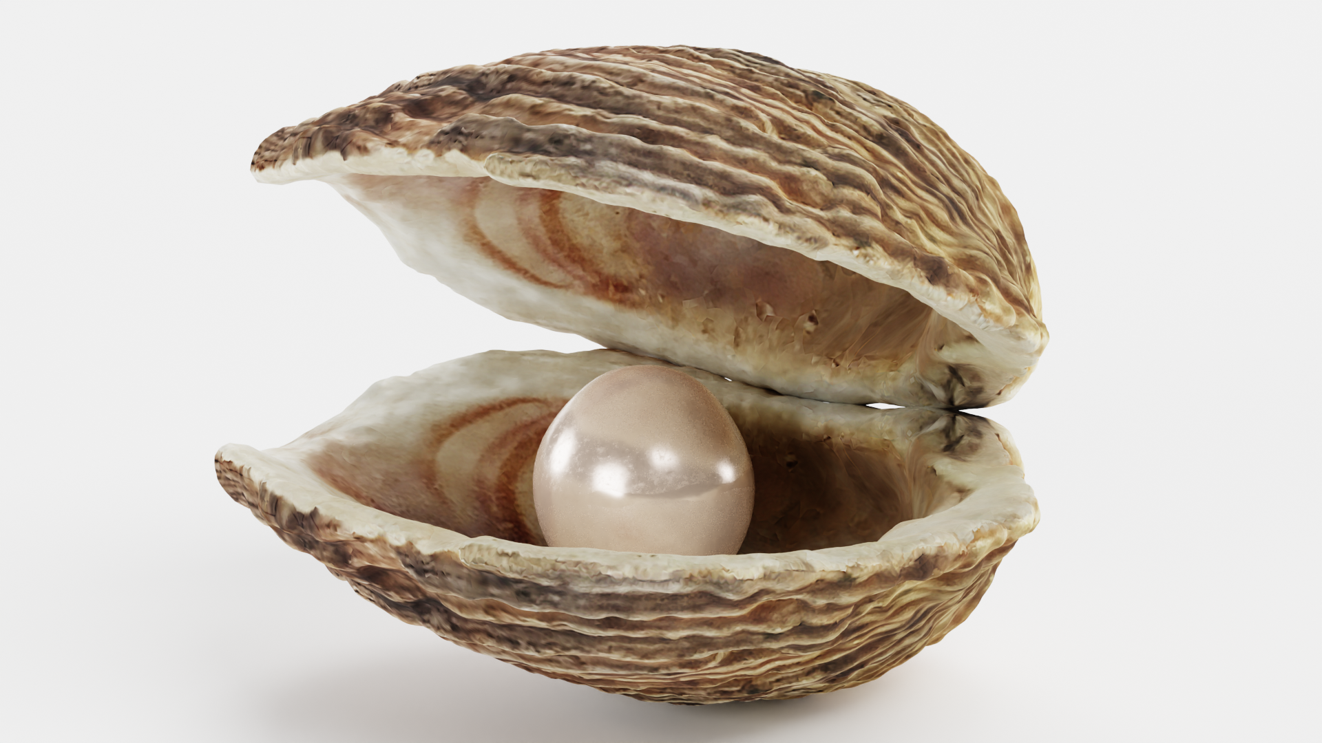 Pearl in Shell V1 - Clam with Gemstone | Fab