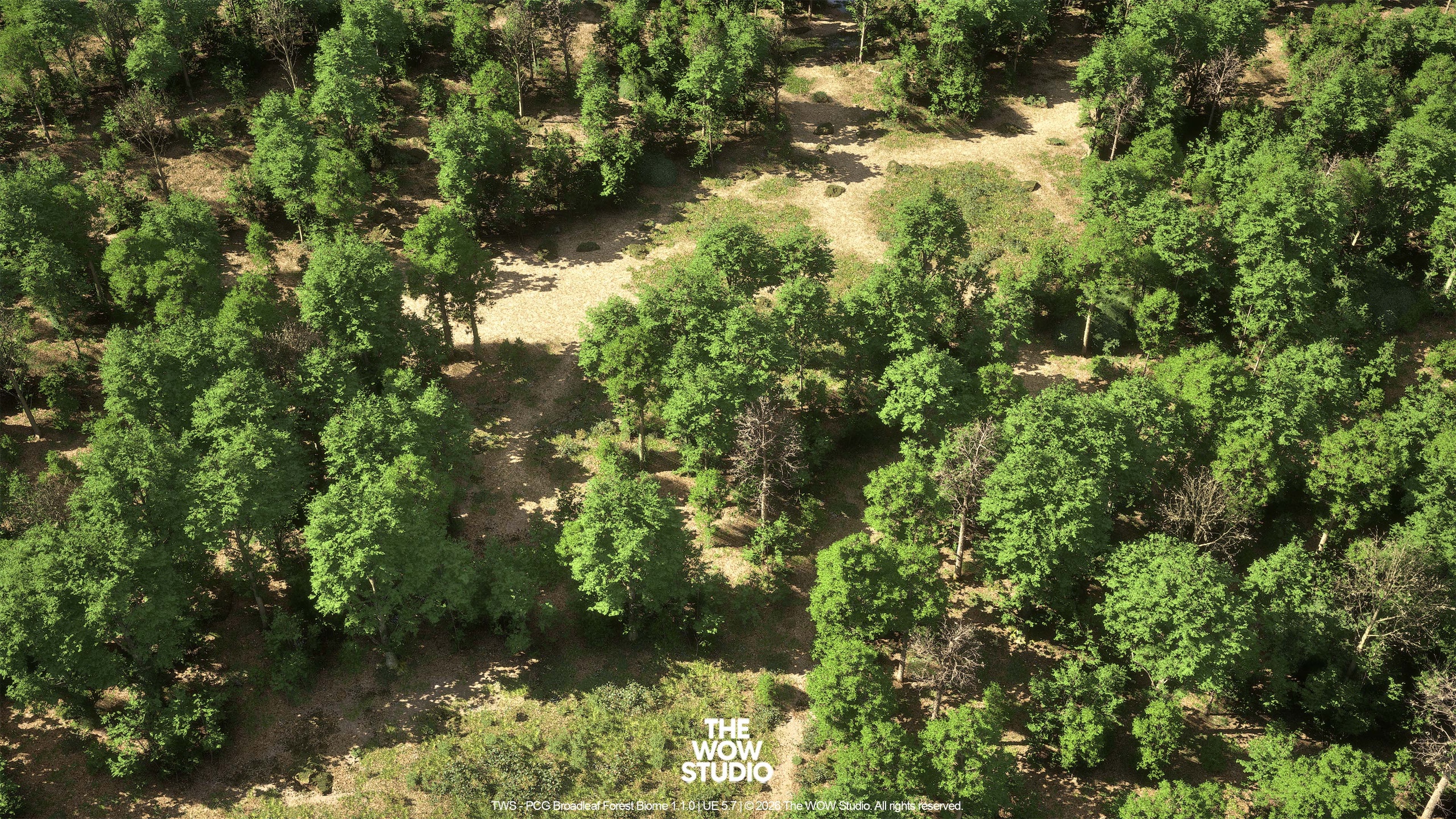 TWS - PCG Broadleaf Forest Biome | Fab
