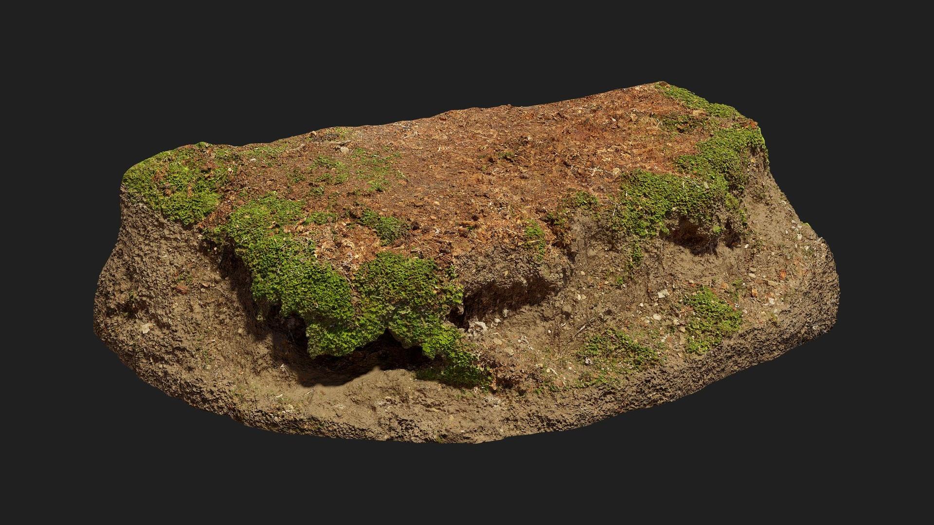 Forest European Broadleaf Embankment Riverbed M 03 | Fab