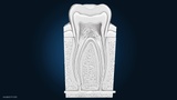 3D Human Teeth Anatomy - Detailed Cross Section Model | Fab