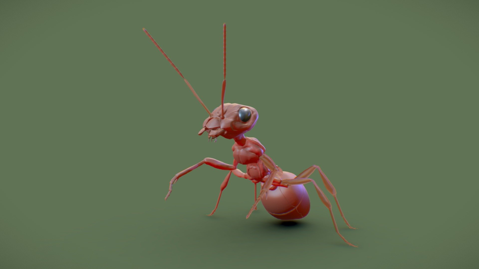 Ant | Fab
