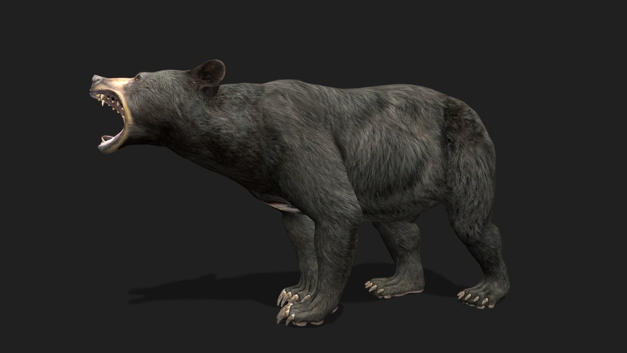 Realistic Bear 3D Model 2.0 (Demo Free Download) | Fab