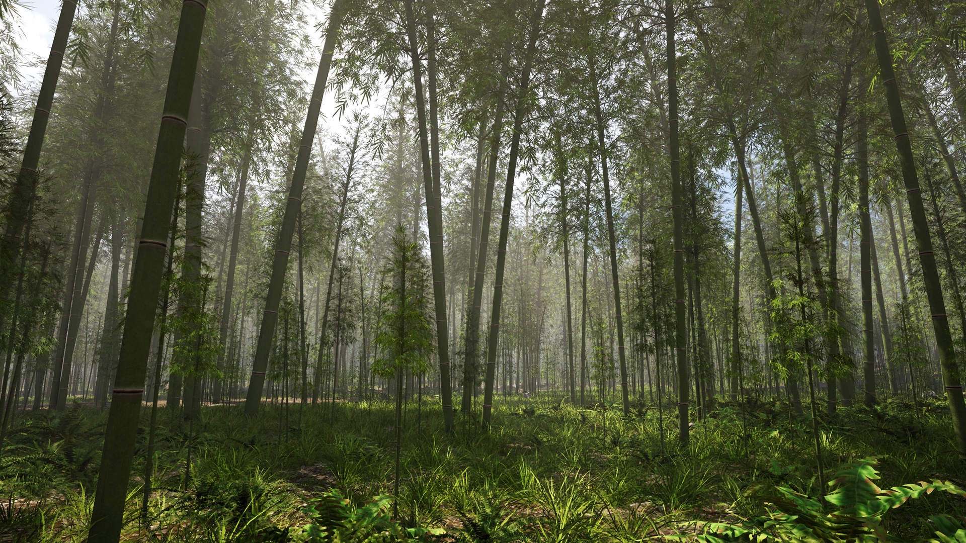 Bamboo Trees Forest Biome | Fab