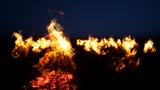 Cinematic Fire | Fab
