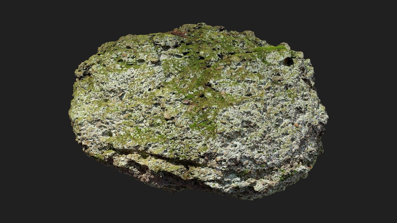 Forest European Broadleaf Rock M 03 | Fab