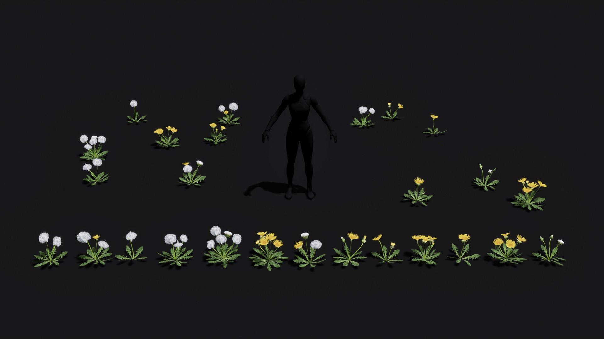 Dandelions game ready set | Fab