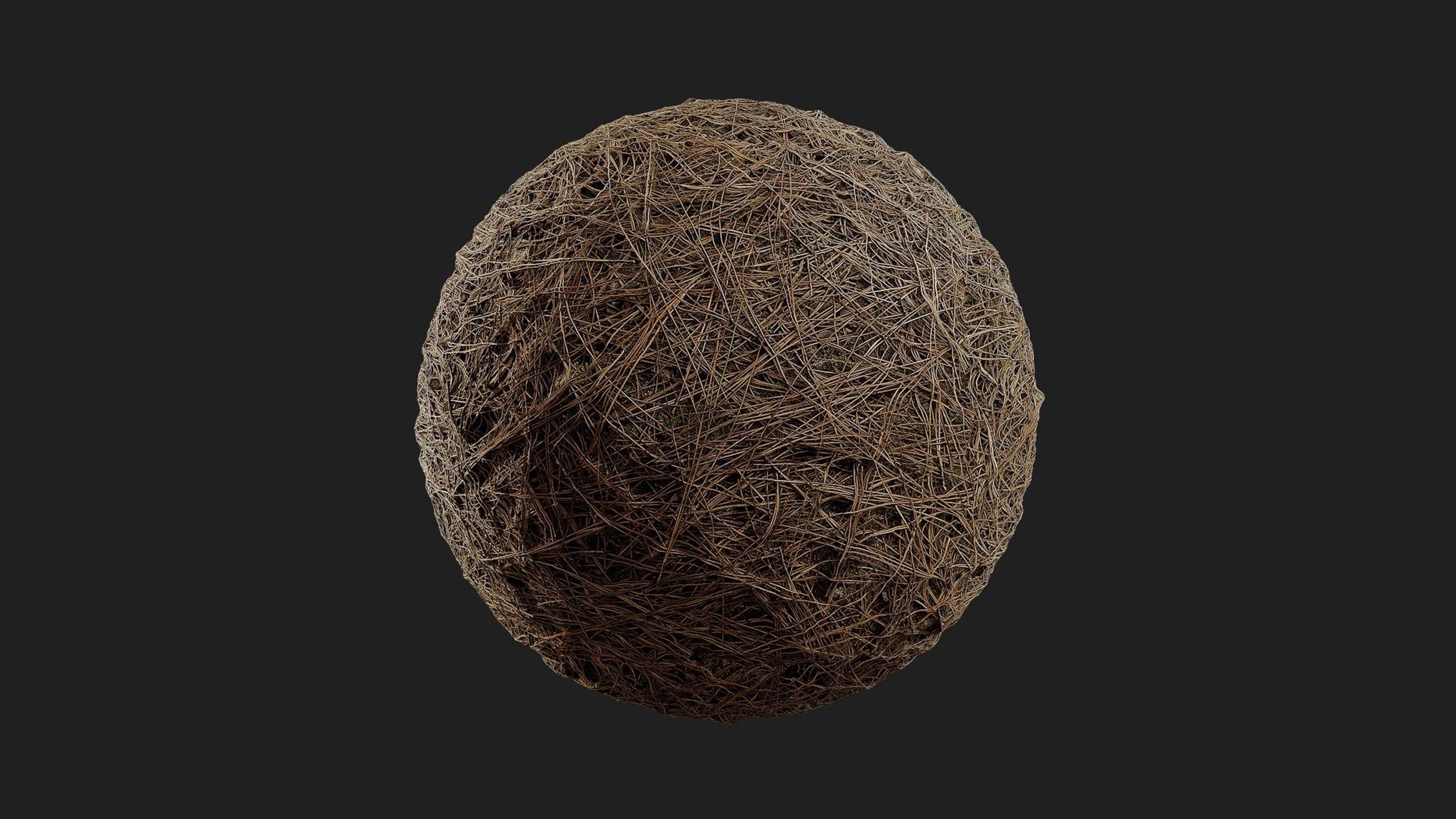 Dried Pine Needles Detail Texture | Fab