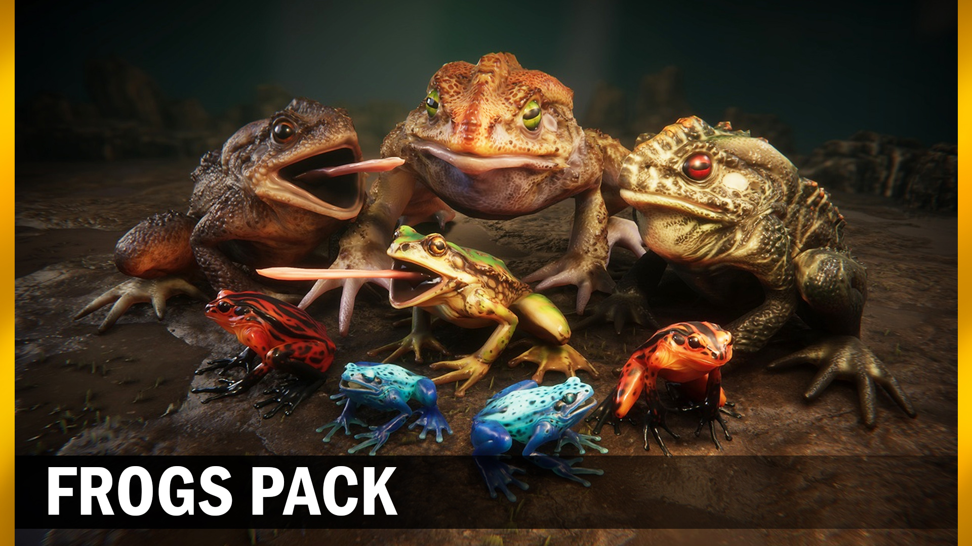 Frogs pack | Fab