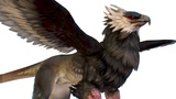 Griffon Fantasy Mythic Griffin Legendary Monster Creature Gryphon ...