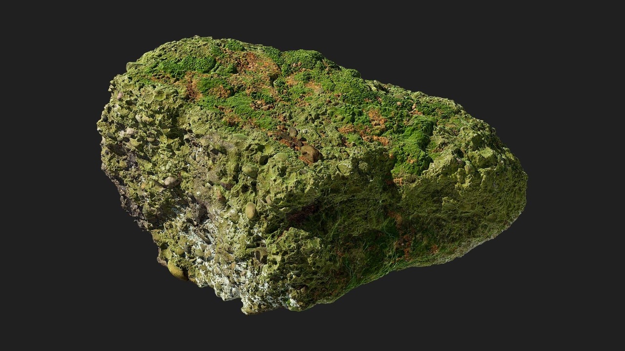 Forest European Broadleaf Rock L 07 | Fab